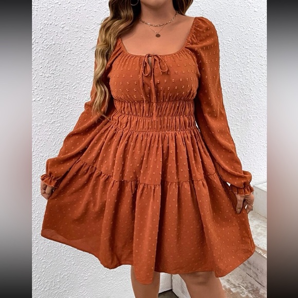 Dresses | Plus Size Rust Brown Swiss Dot Tie Front Dress | Poshmark